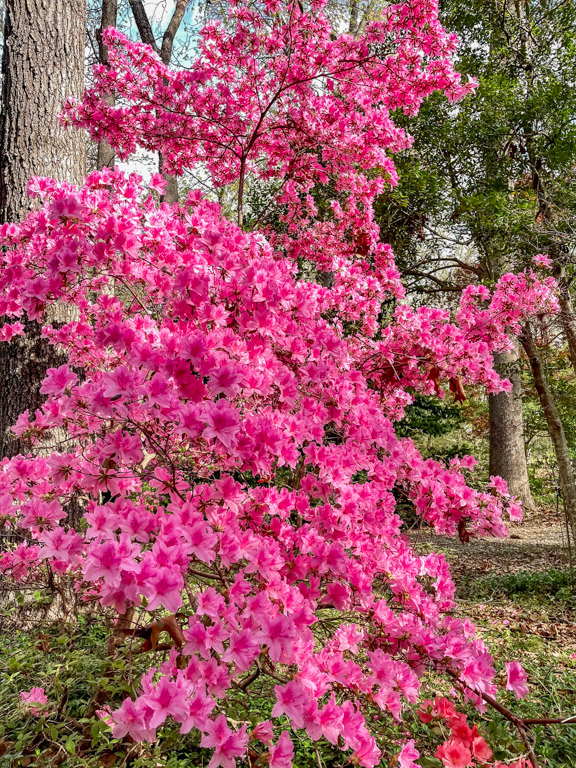 13 Fun Things To Do In Grove, Oklahoma