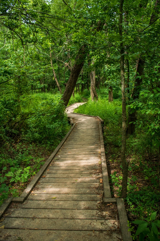 30+ Hiking Trails Near Tulsa (From A Local)