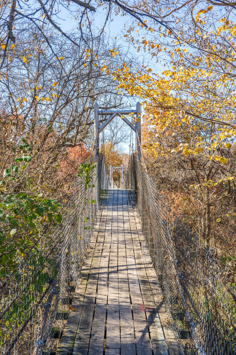 Fall Foliage In Oklahoma: 15 Best Places To Visit