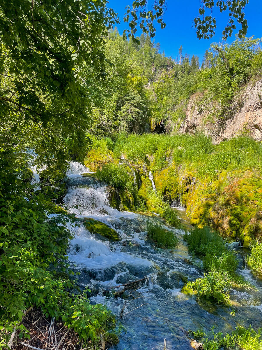 Ultimate 5-Day Black Hills Road Trip Itinerary